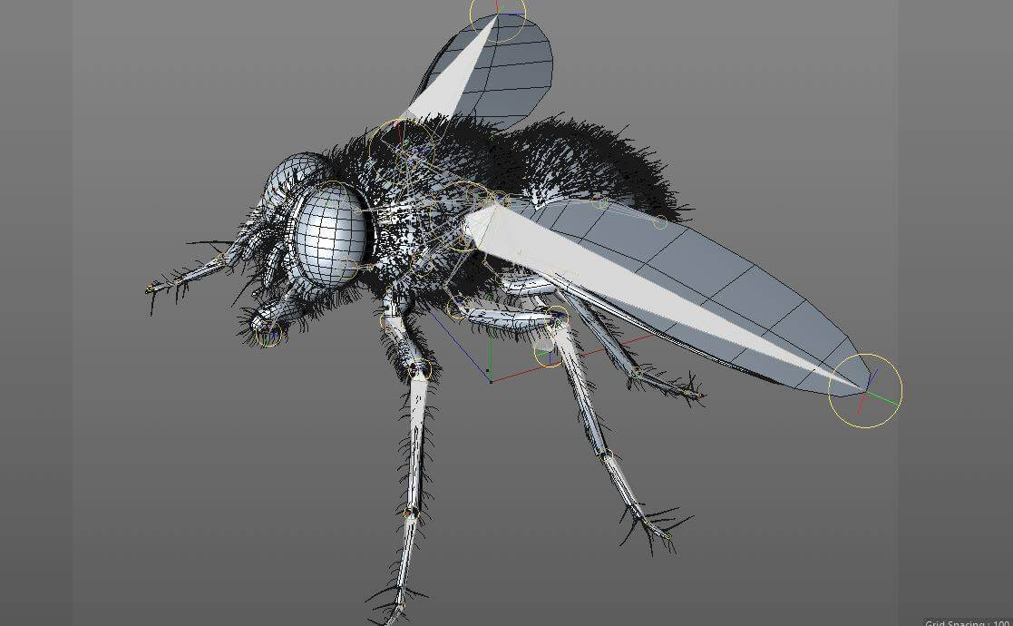 Housefly - 3D Model by 3dstudio