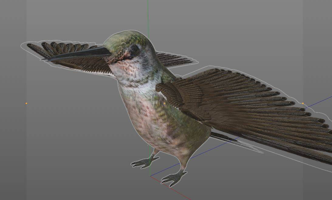 Hummingbird - 3D Model by 3dstudio
