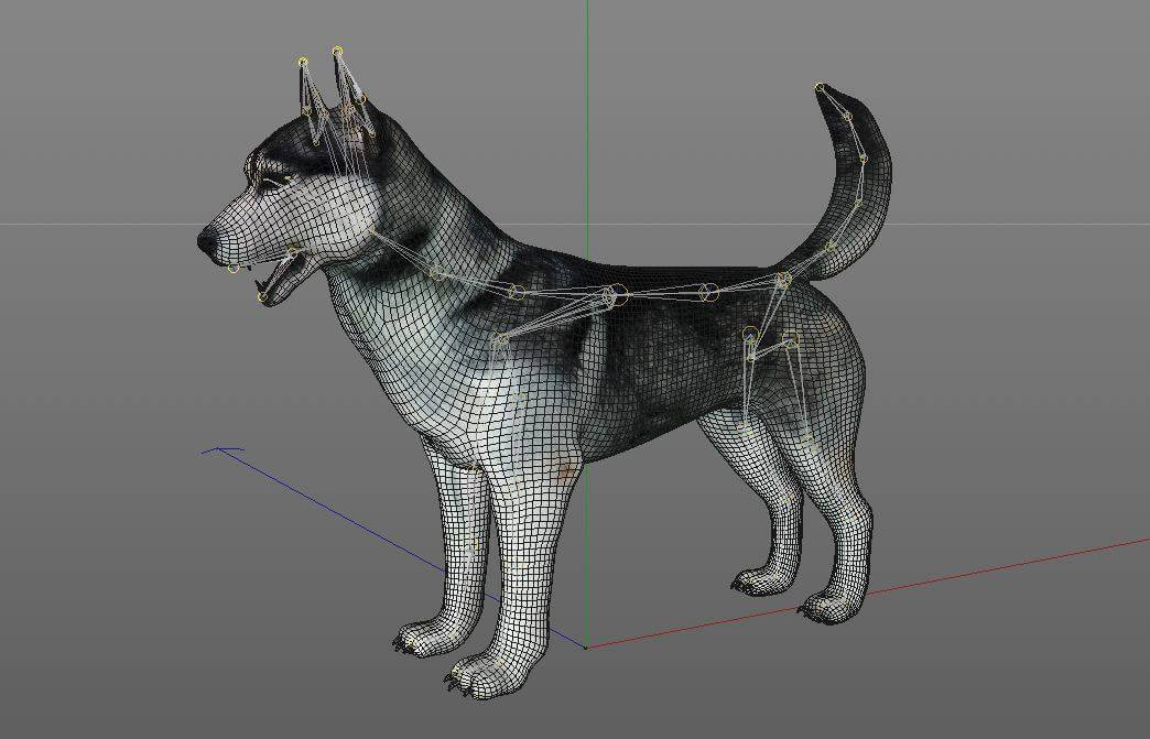 Husky - 3D Model by 3dstudio