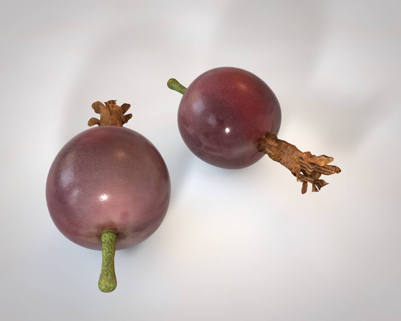 Jostaberry - 3D Model by 3dstudio