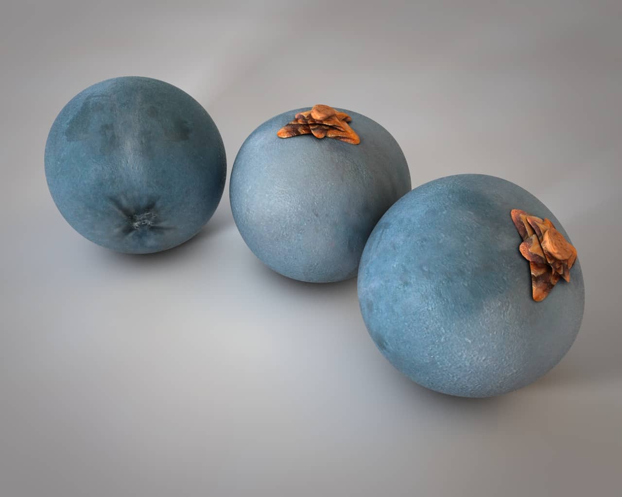 Juniper Berry - 3D Model by 3dstudio