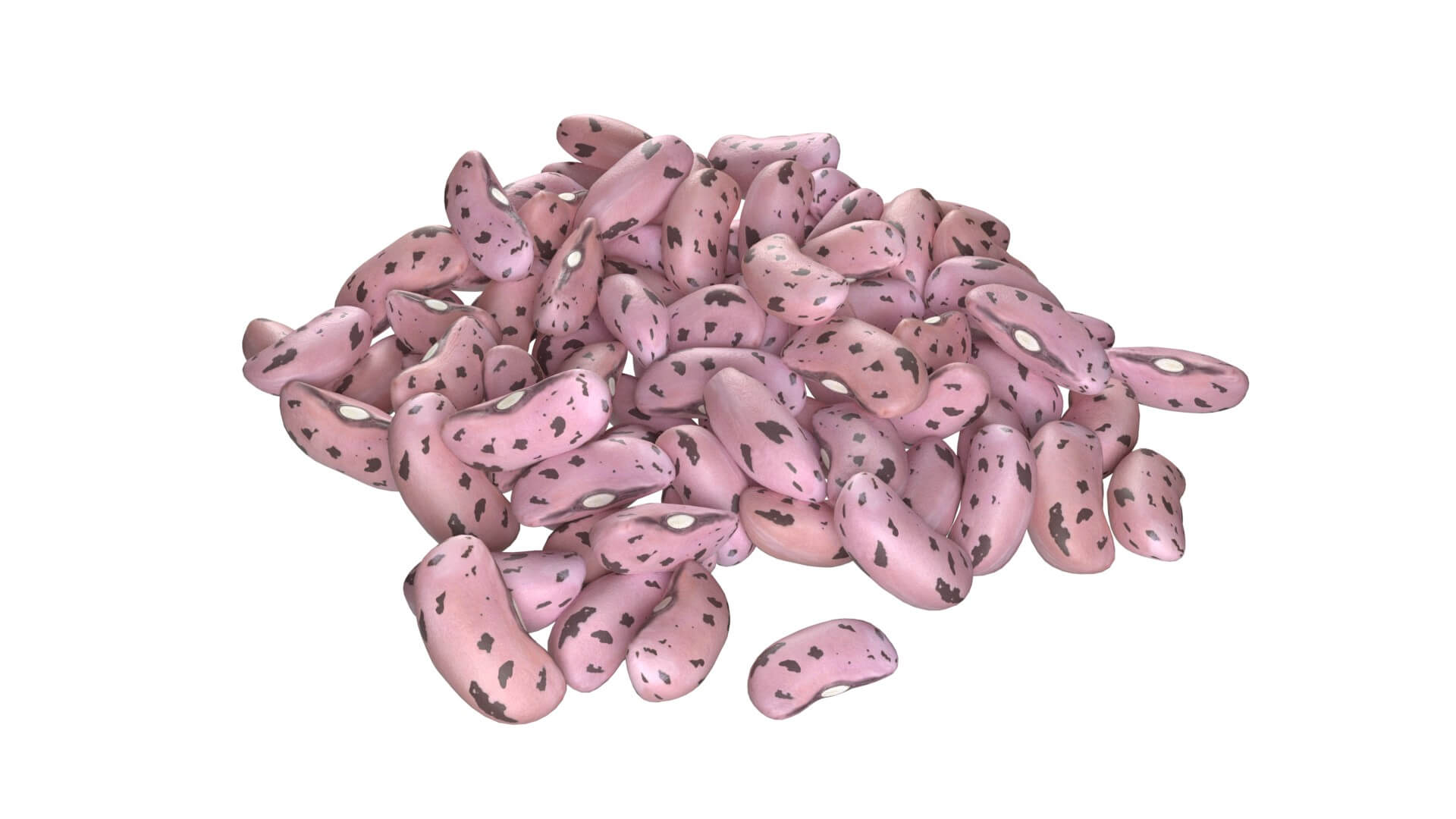 Kidney Bean Collection - 3D Model by 3dstudio