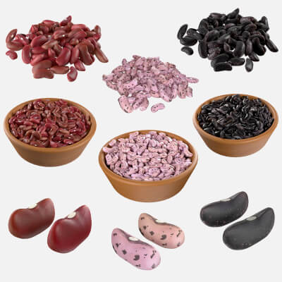 Kidney Bean Collection - 3D Model by 3dstudio