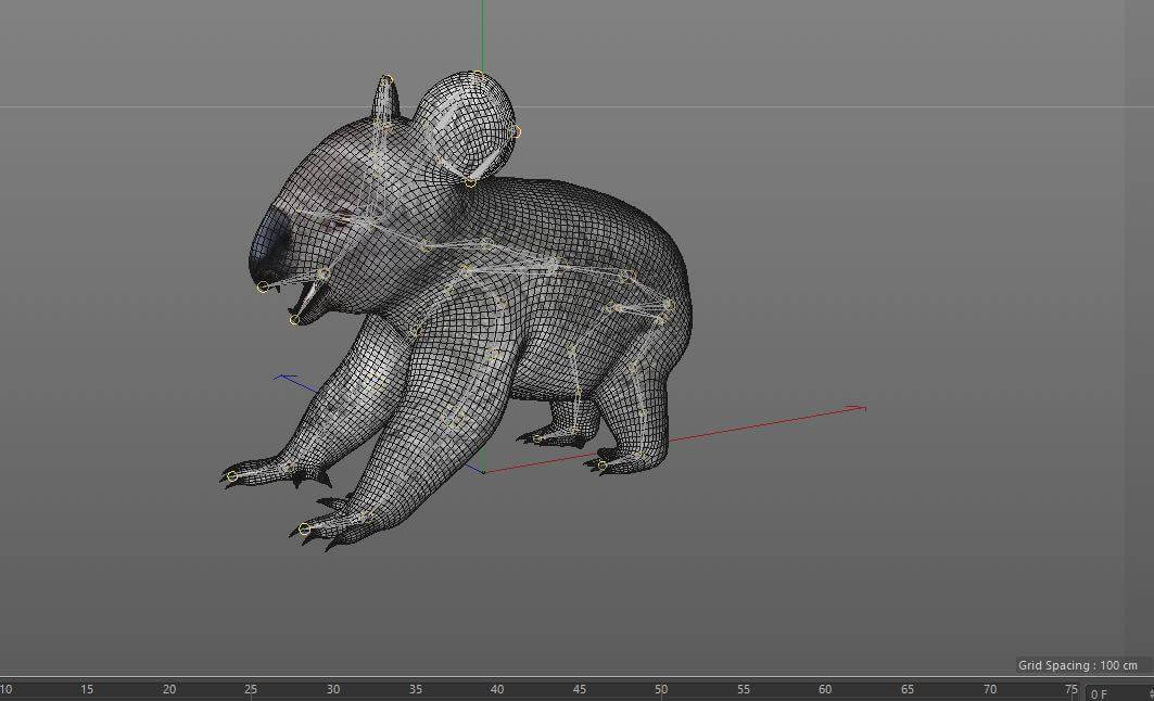 Koala - 3D Model by 3dstudio