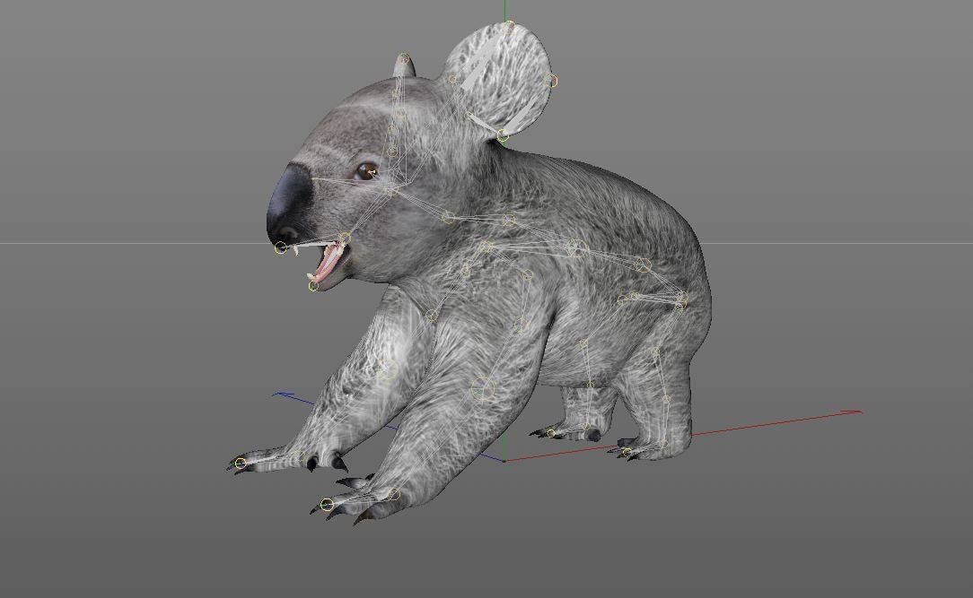 Koala - 3D Model by 3dstudio