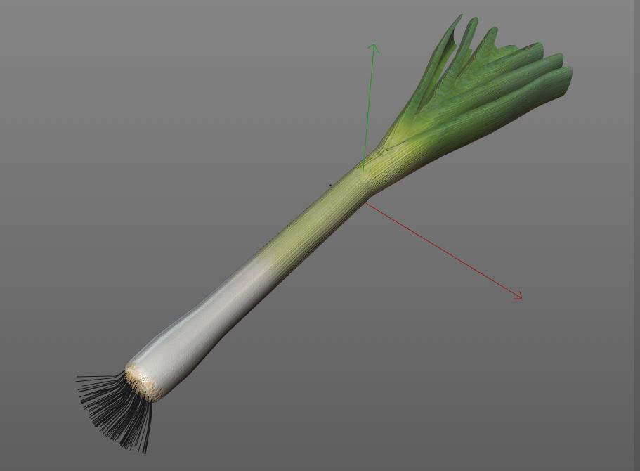 Leeks - 3D Model by 3dstudio
