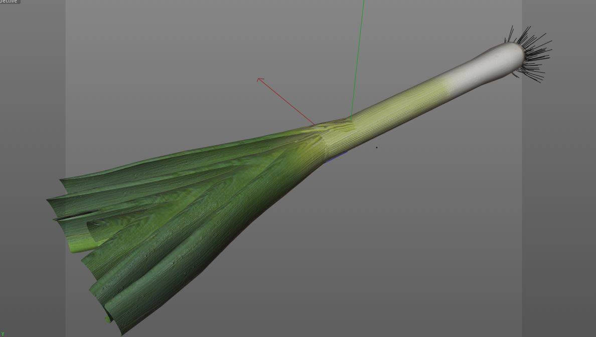 Leeks - 3D Model by 3dstudio
