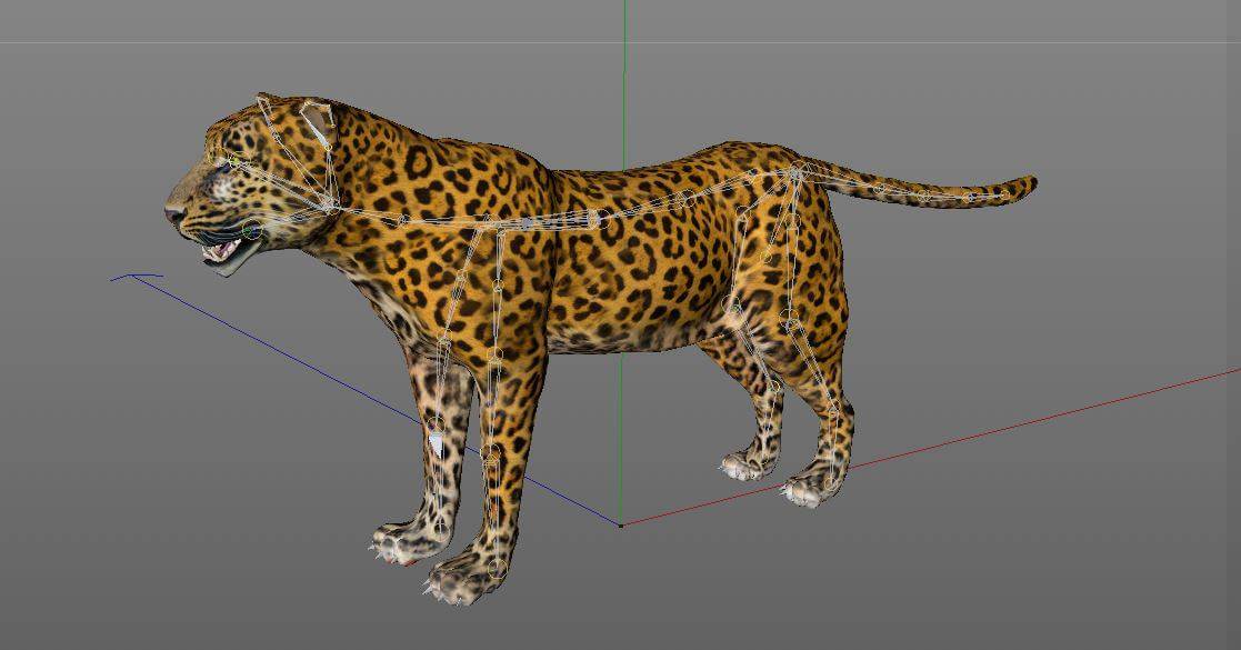 Leopard - 3D Model by 3dstudio