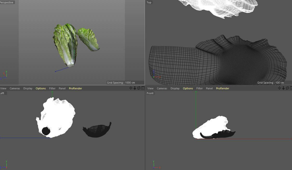 Lettuce - 3D Model by 3dstudio