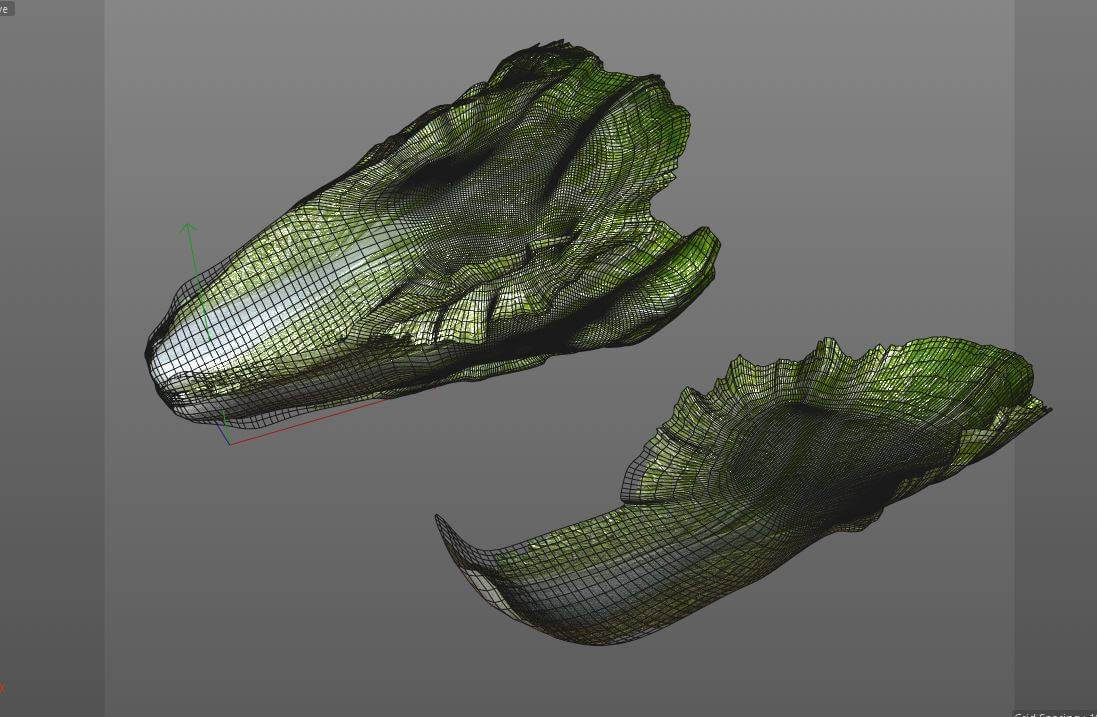 Lettuce - 3D Model by 3dstudio