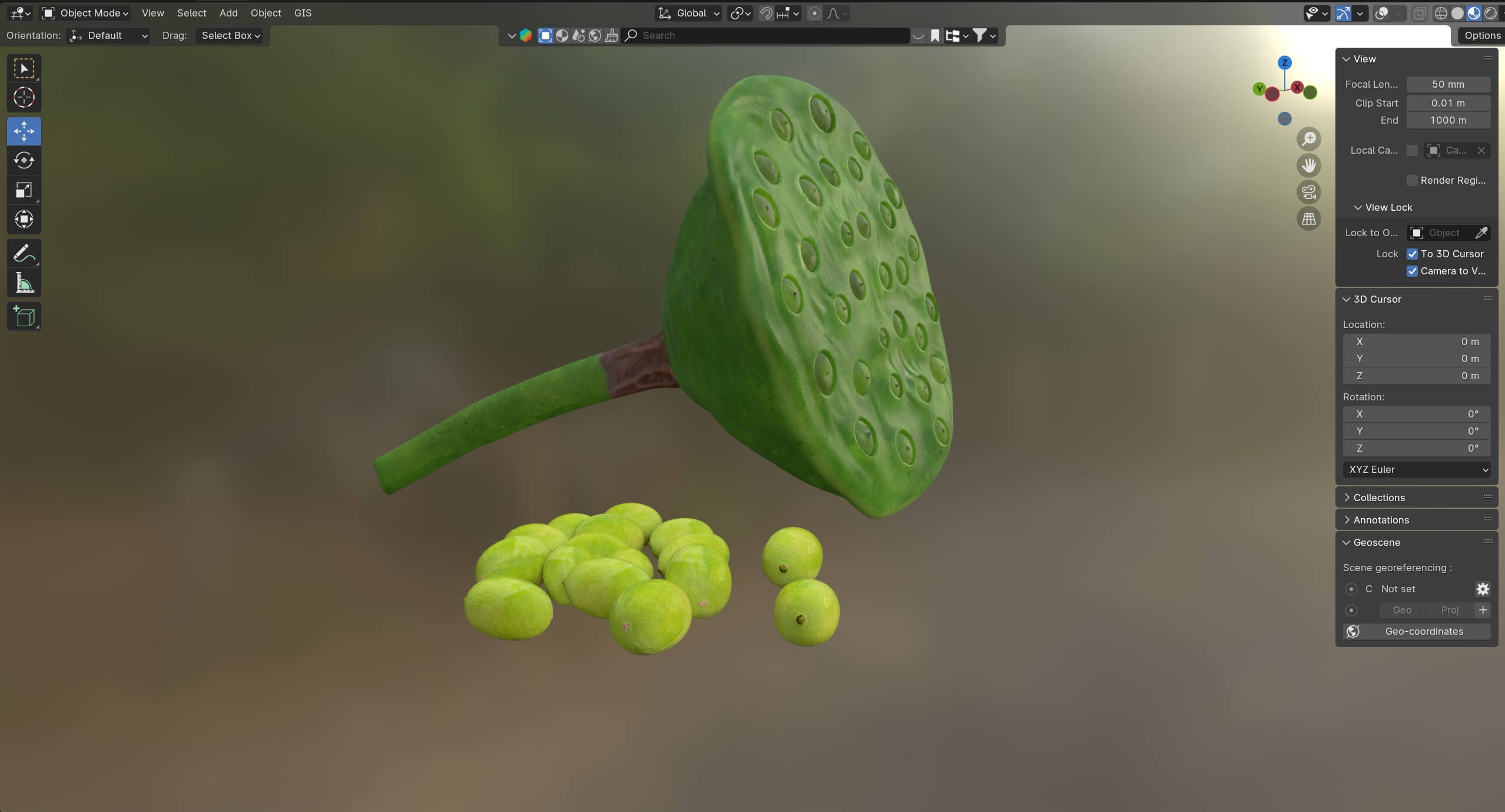 Lotus Seed Pod - 3D Model by 3dstudio