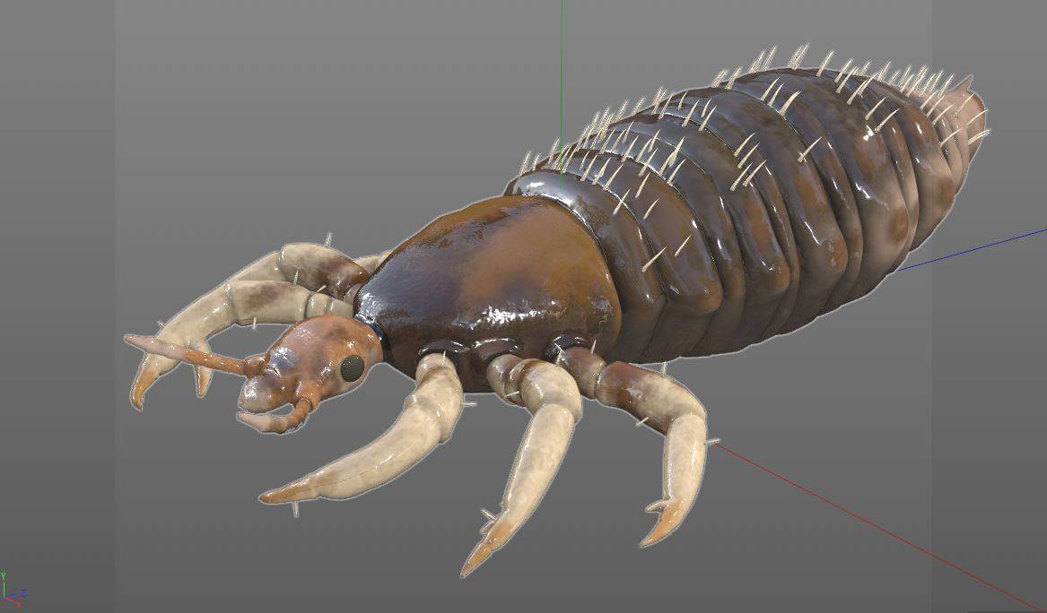 Louse - 3D Model by 3dstudio