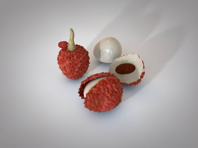 Lychee - 3D Model by 3dstudio