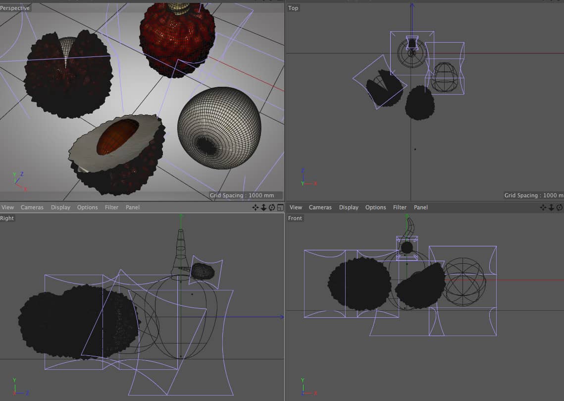 Lychee - 3D Model by 3dstudio