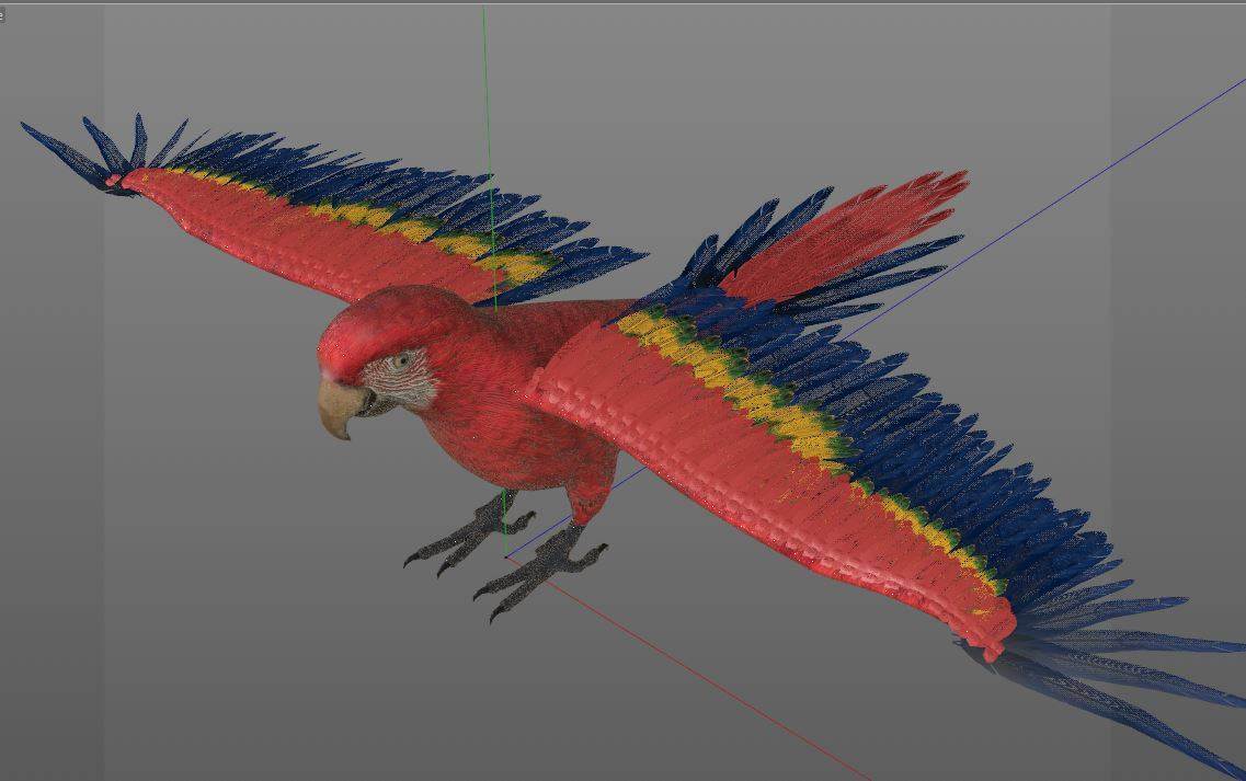 Macaw - 3D Model by 3dstudio