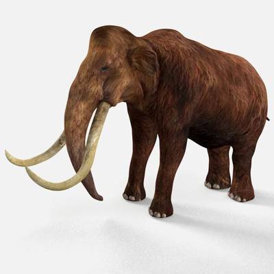 Mammoth - 3D Model by 3dstudio