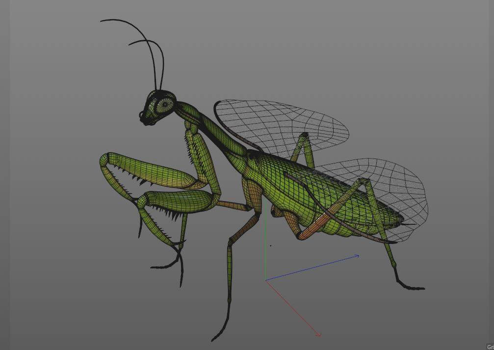 Mantis - 3D Model by 3dstudio
