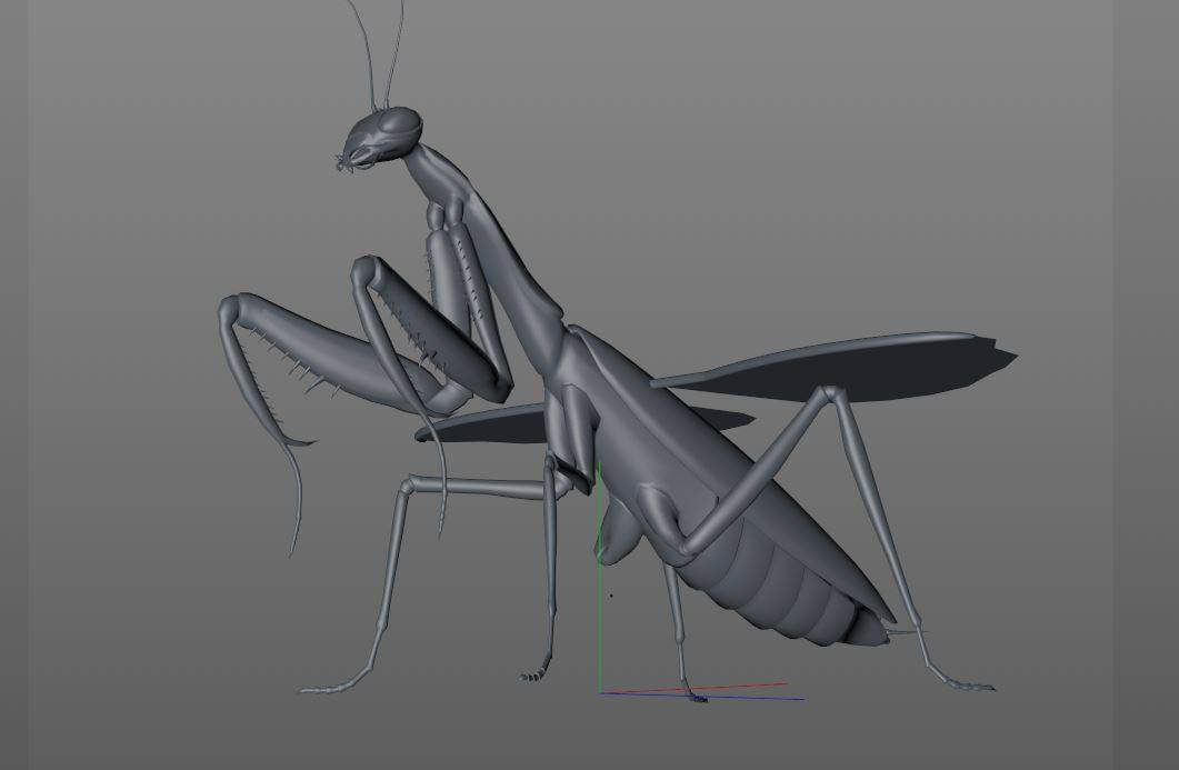 Mantis - 3D Model by 3dstudio
