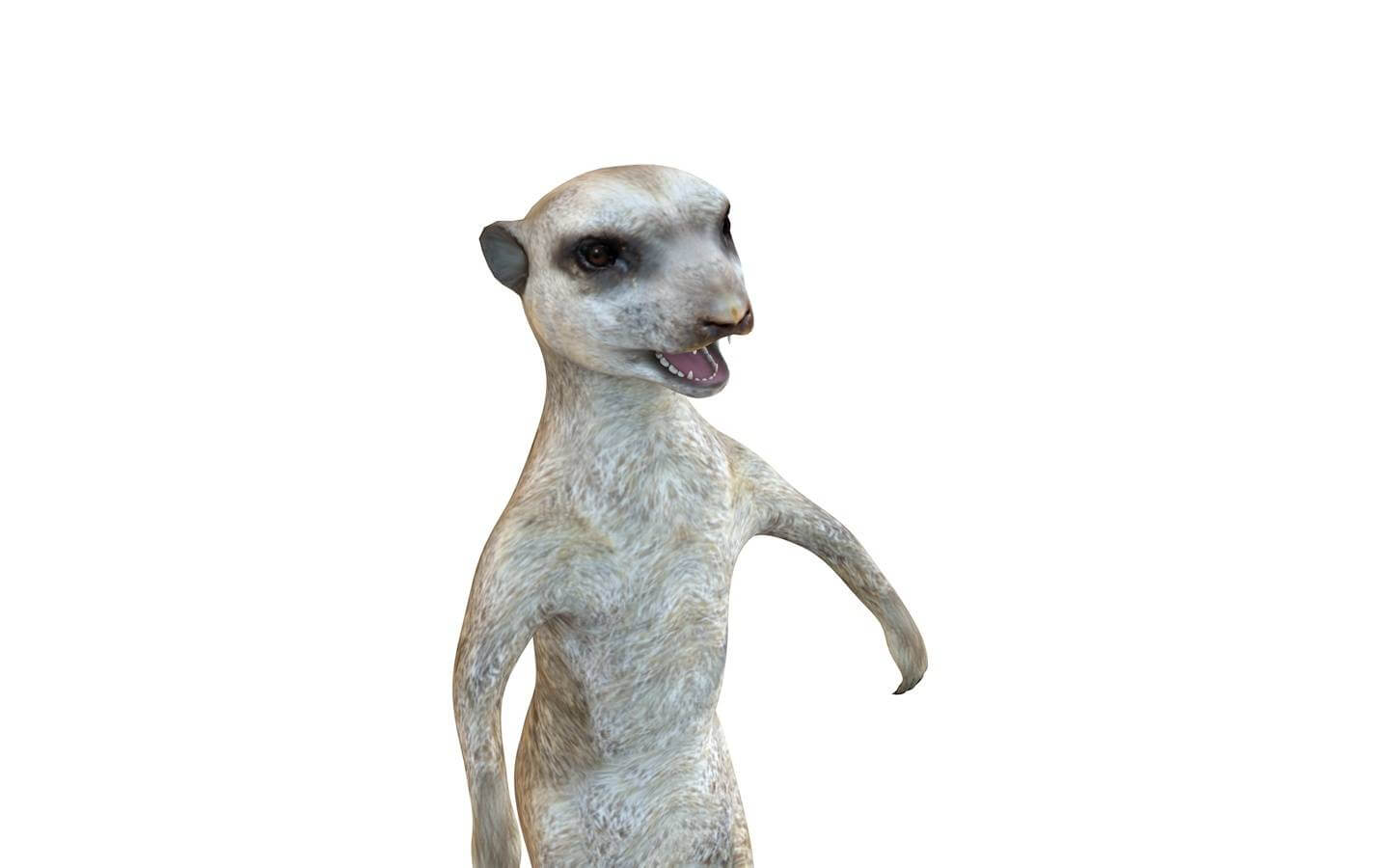 Meerkat - 3D Model by 3dstudio