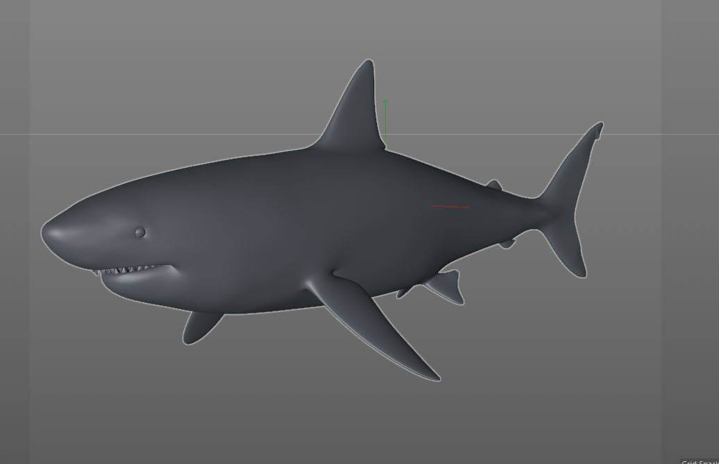 Megalodon Shark - 3D Model by 3dstudio
