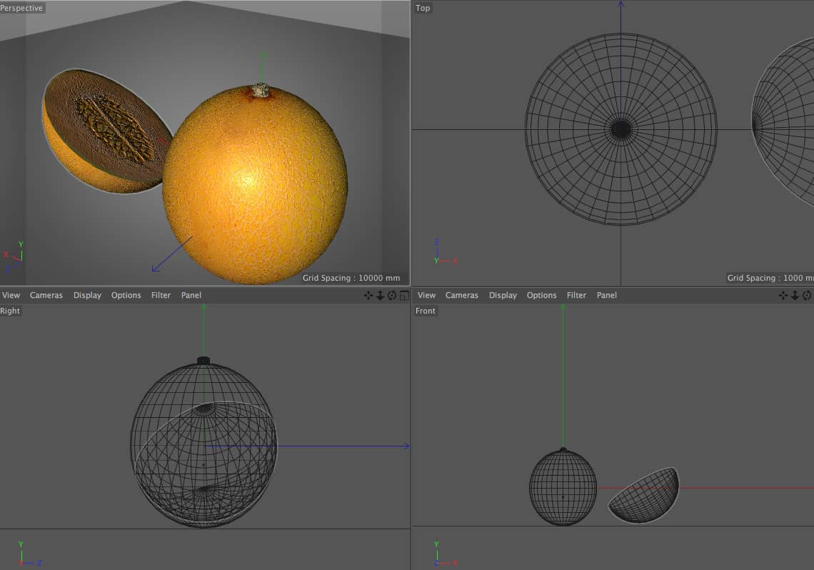 Melon - 3D Model by 3dstudio