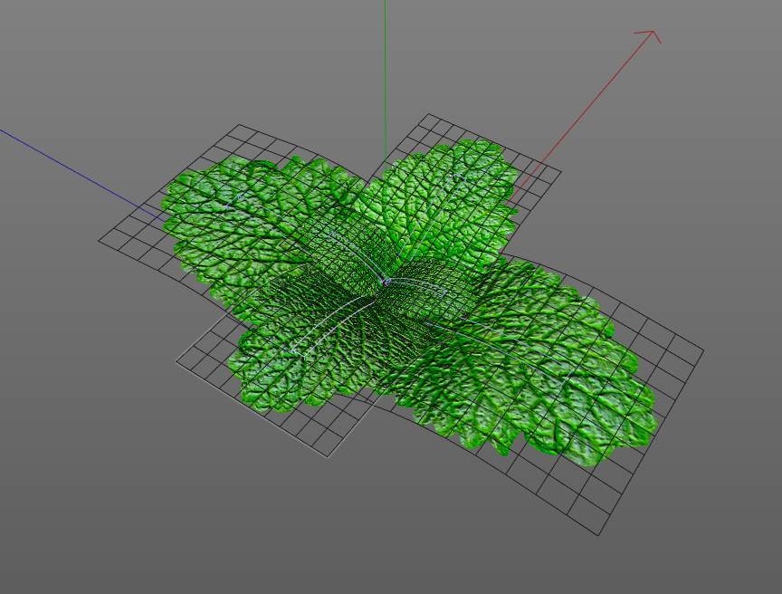 Mint - 3D Model by 3dstudio