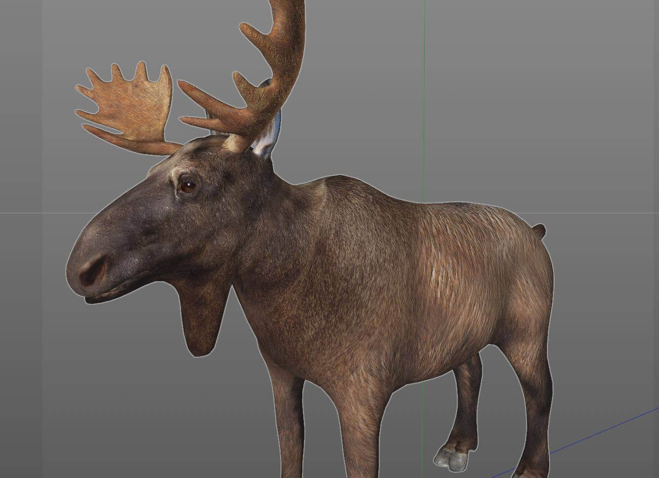 Moose (Male) - 3D Model by 3dstudio