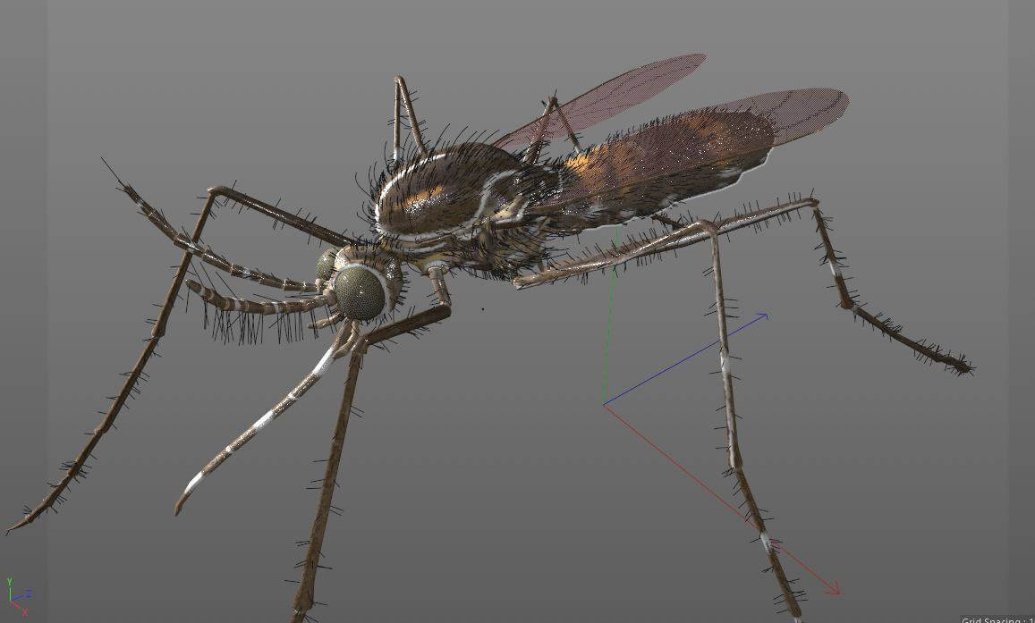 Mosquito - 3D Model by 3dstudio
