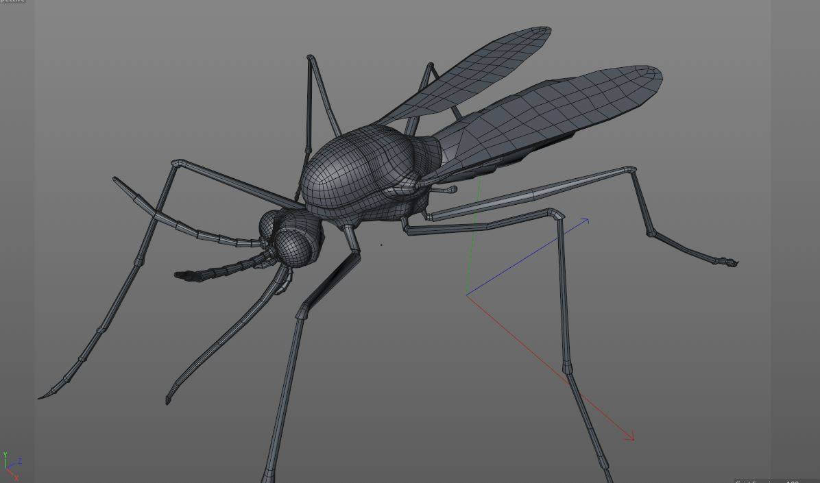 Mosquito - 3D Model by 3dstudio