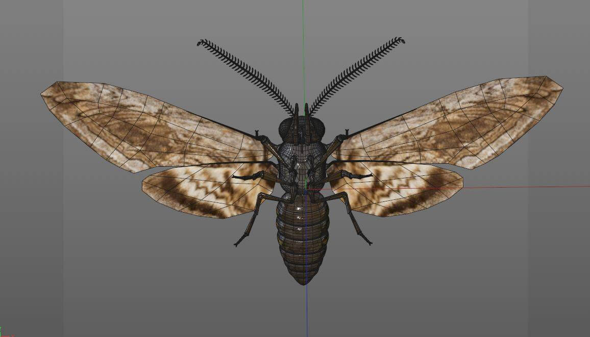Moth - 3D Model by 3dstudio