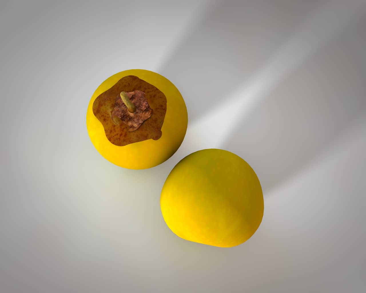 Nance - 3D Model by 3dstudio