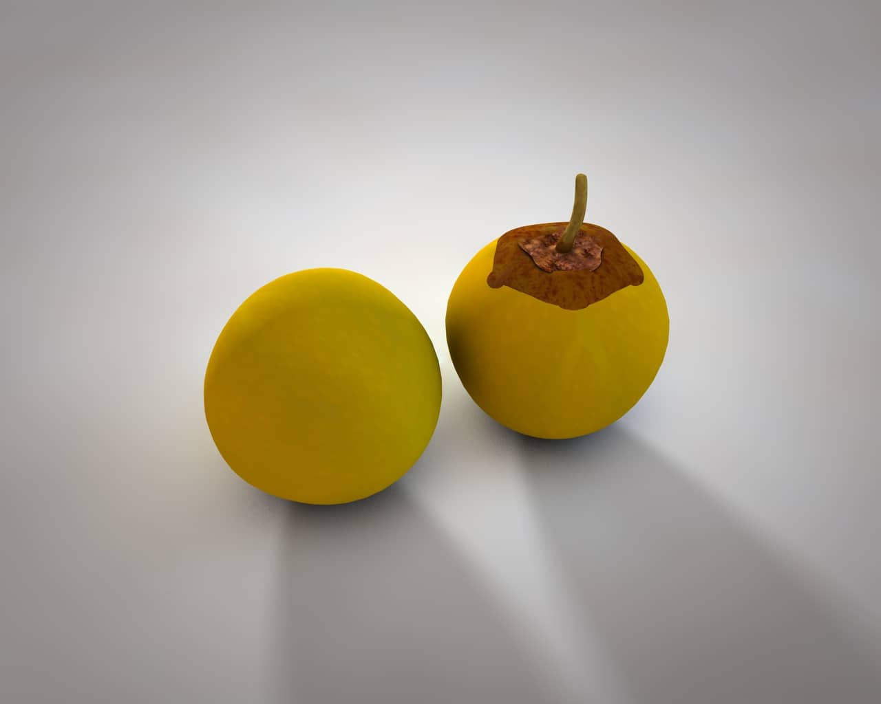 Nance - 3D Model by 3dstudio