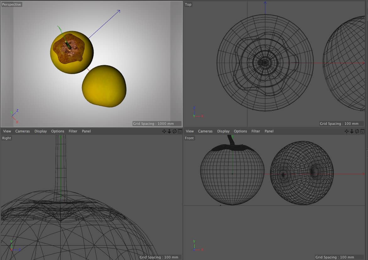 Nance - 3D Model by 3dstudio