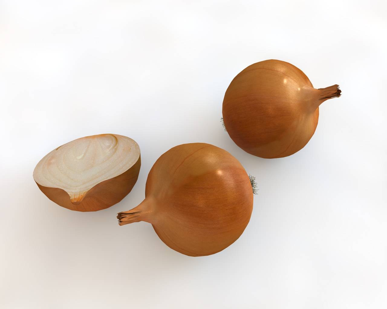 Onion (Yellow) - 3D Model by 3dstudio