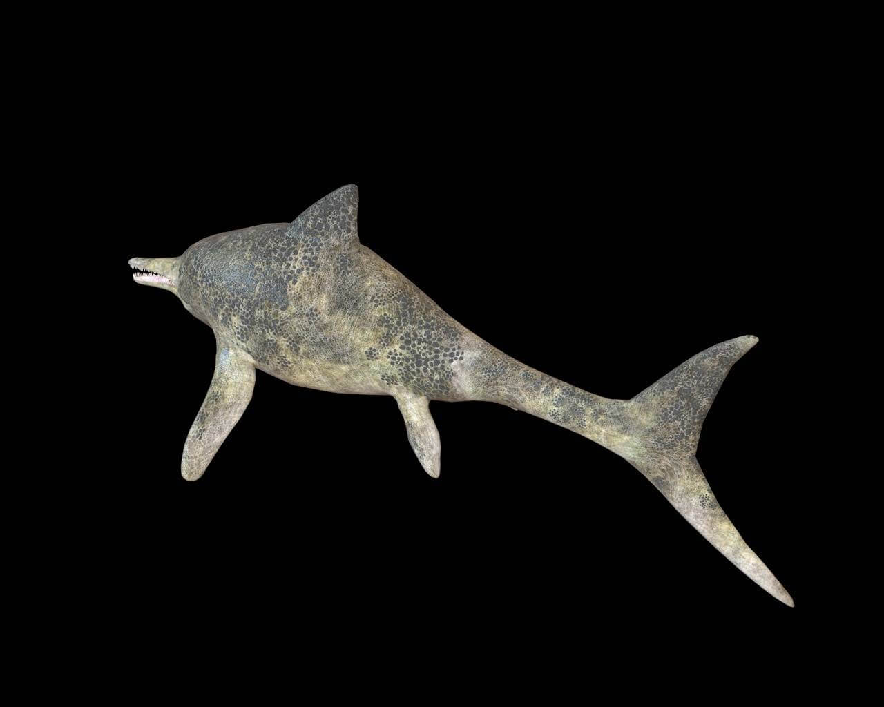 Ophthalmosaurus - 3D Model by 3dstudio