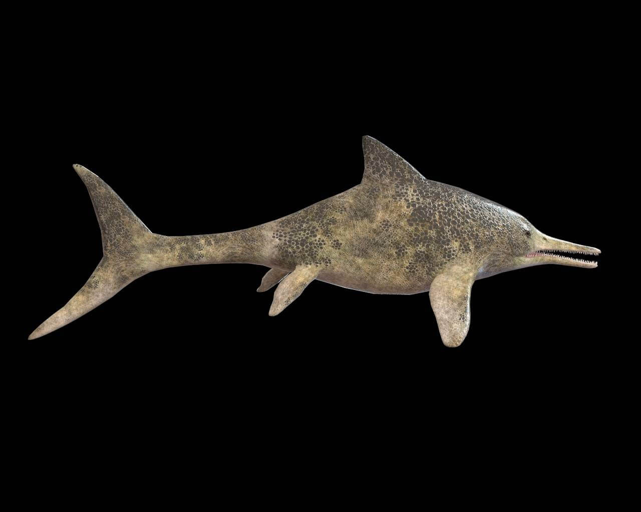 Ophthalmosaurus - 3D Model by 3dstudio