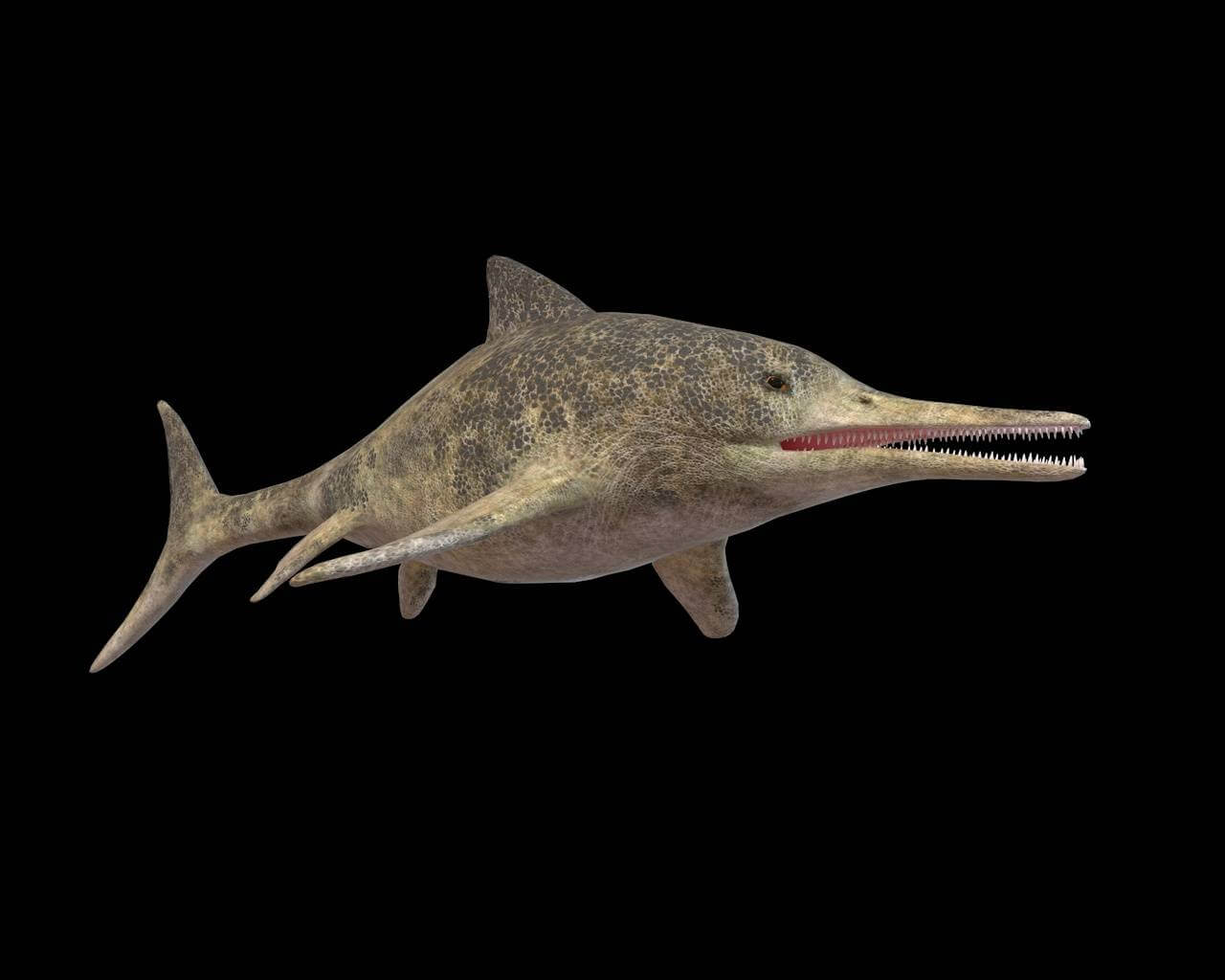 Ophthalmosaurus - 3D Model by 3dstudio