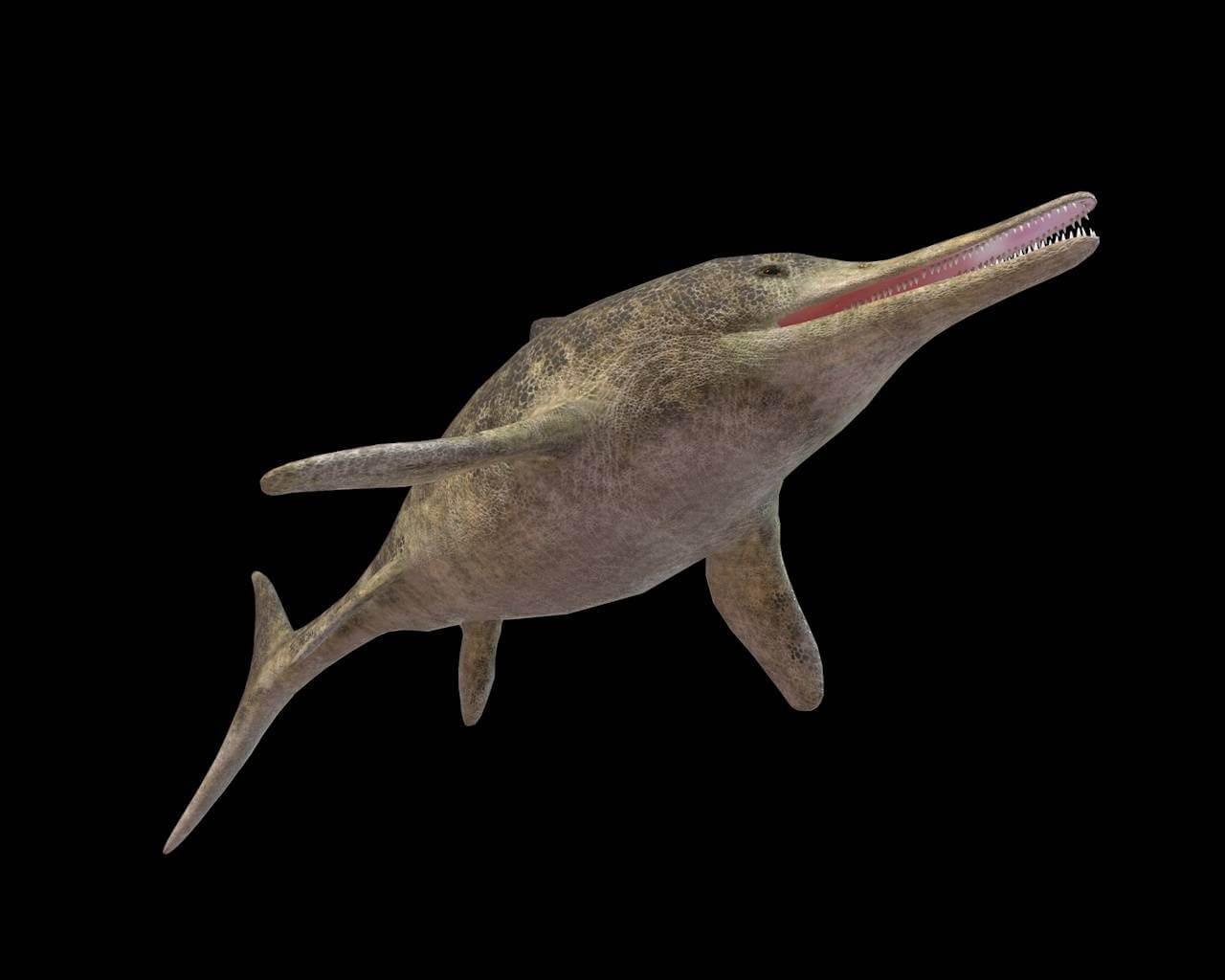 Ophthalmosaurus - 3D Model by 3dstudio