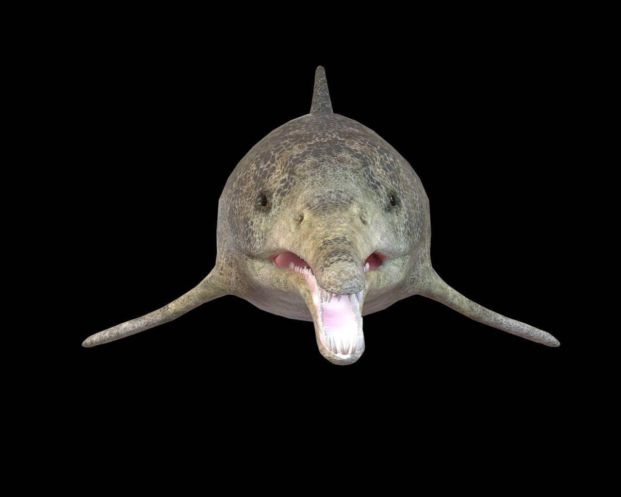 Ophthalmosaurus - 3D Model by 3dstudio