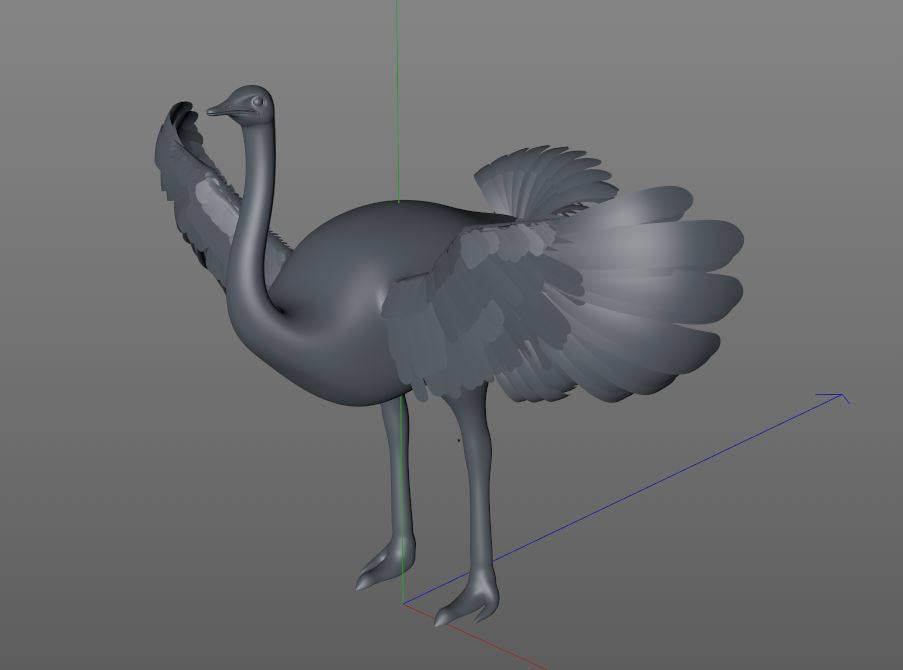 Ostrich - 3D Model by 3dstudio