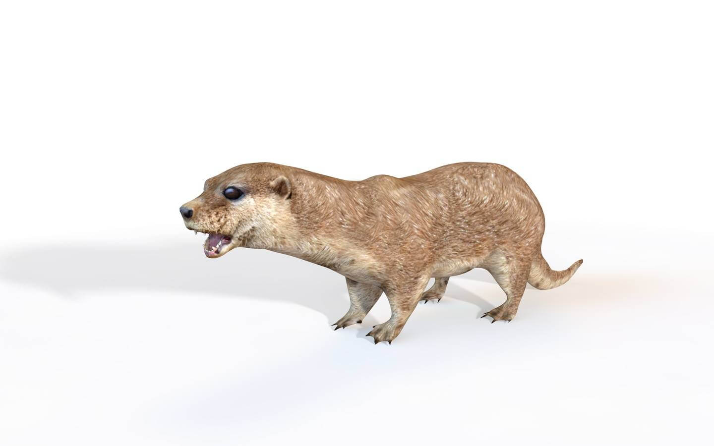Otter - 3D Model by 3dstudio