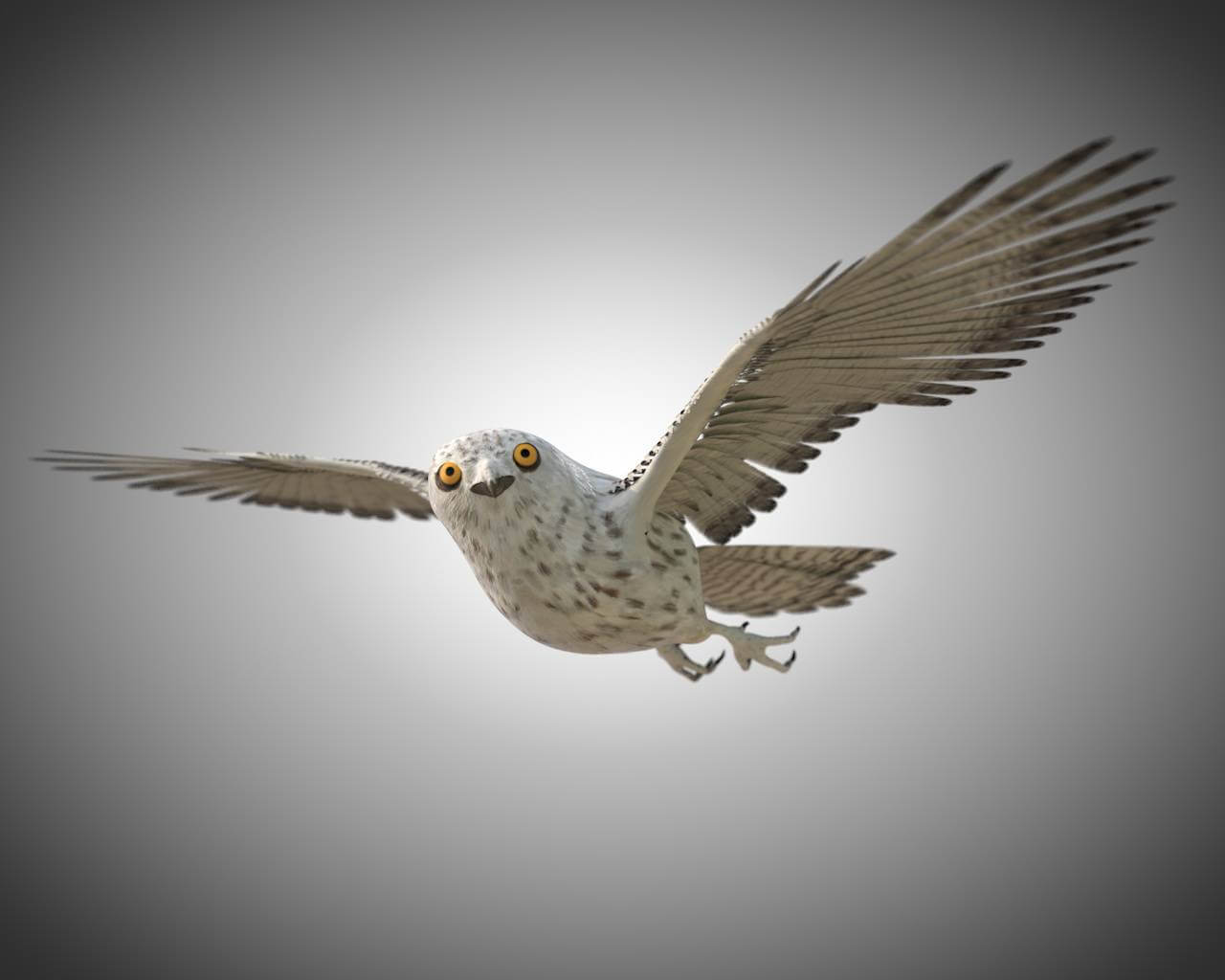 Owl - 3D Model by 3dstudio