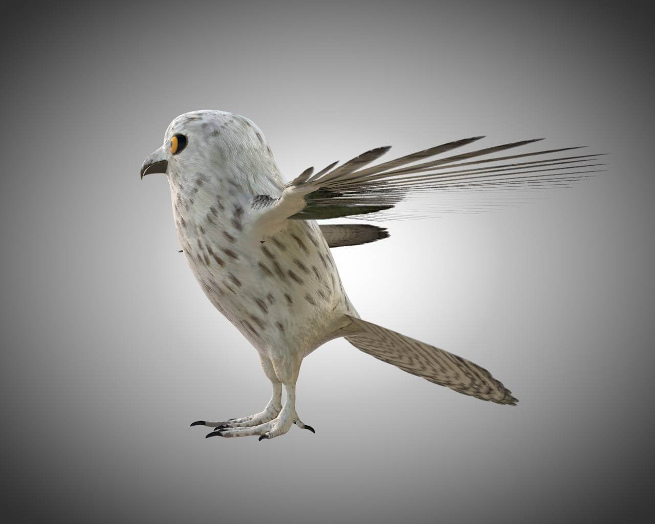 Owl - 3D Model by 3dstudio