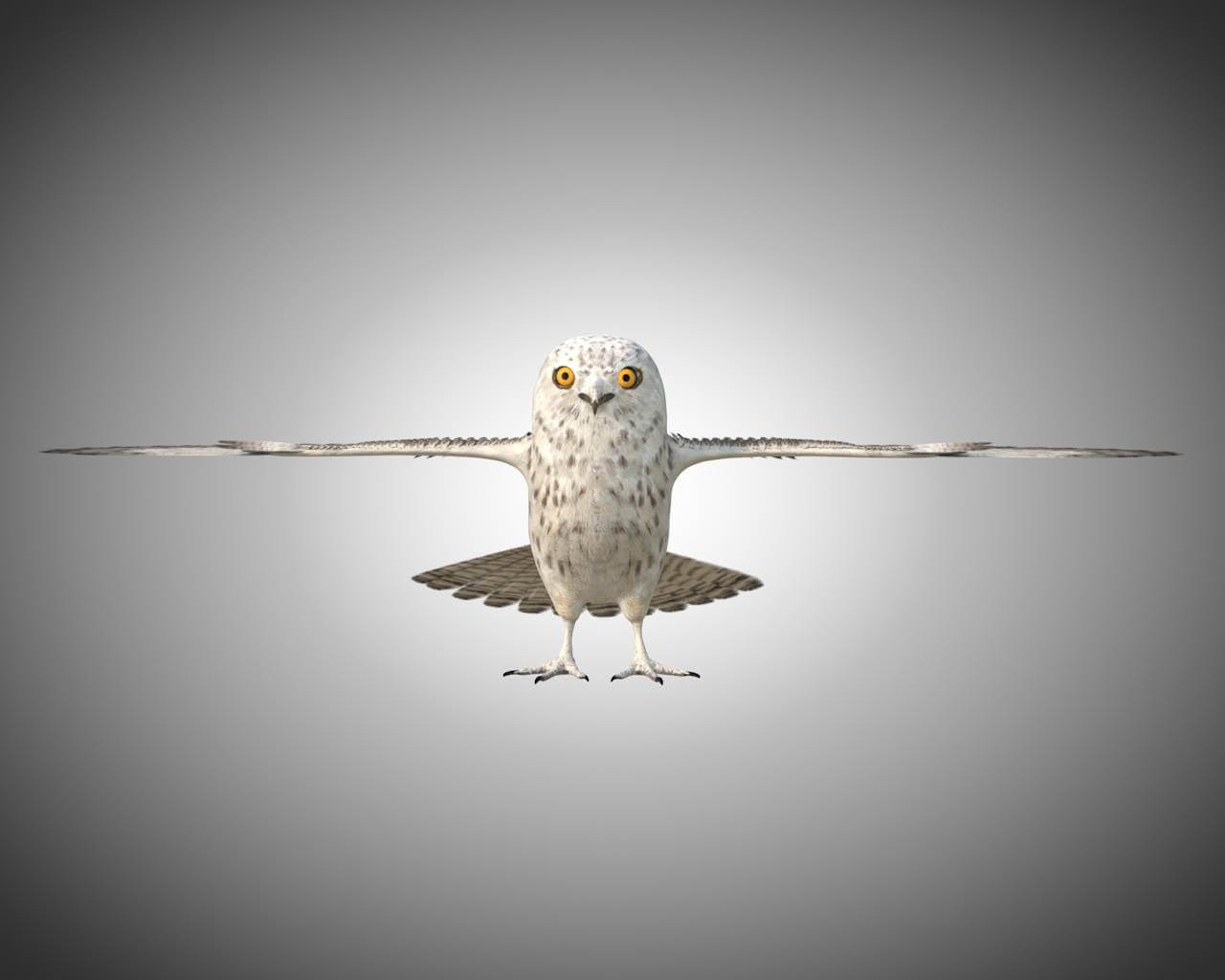 Owl - 3D Model by 3dstudio