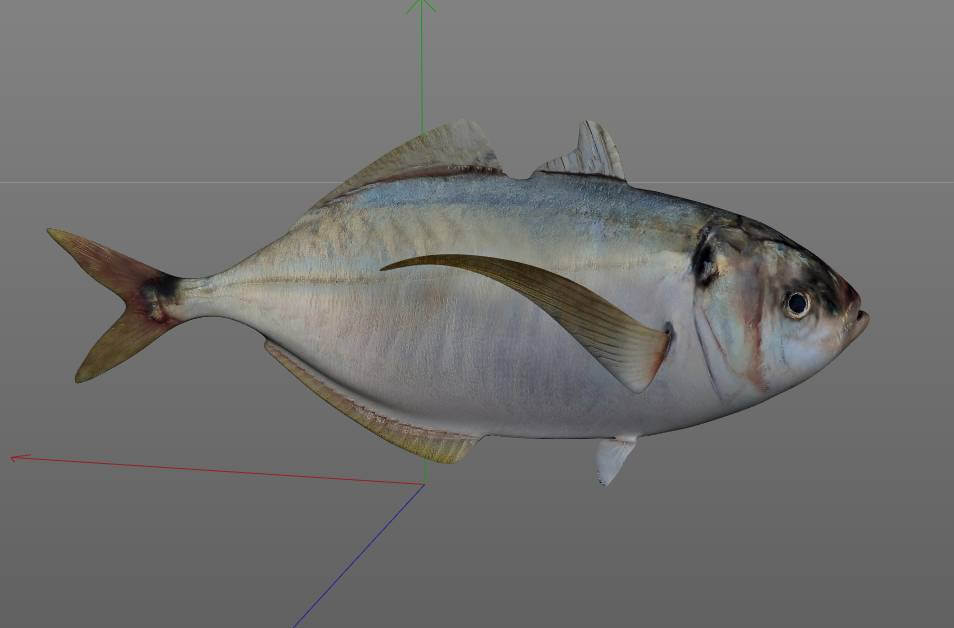 Pacific Bumper - 3D Model by 3dstudio