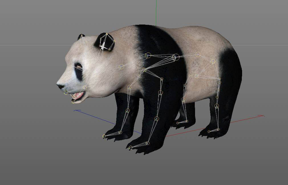 Panda - 3D Model by 3dstudio
