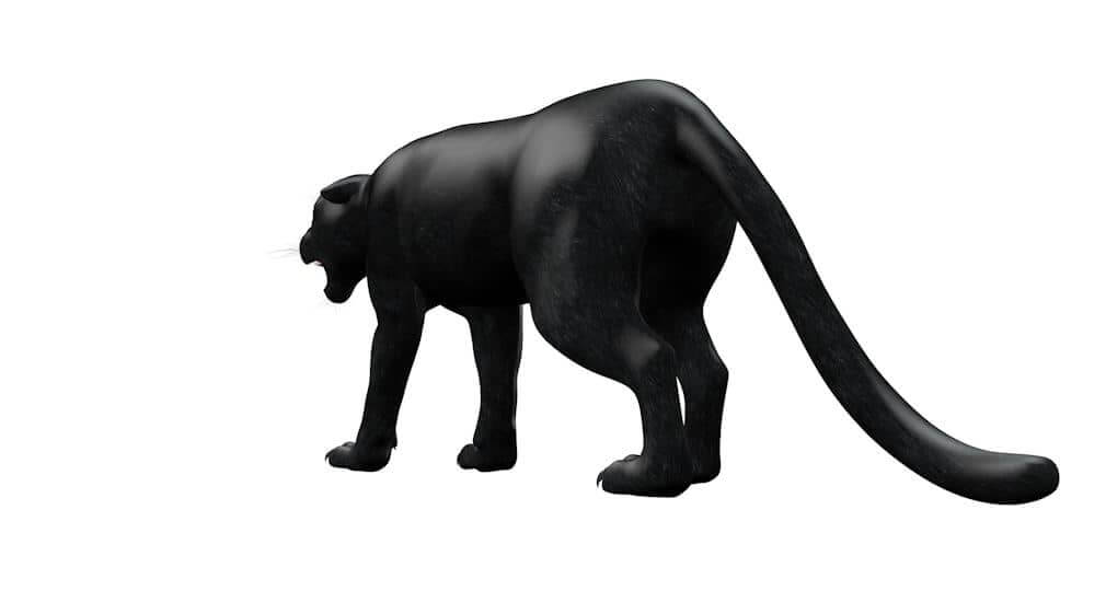Panther Animal 3D Model by 3dstudio