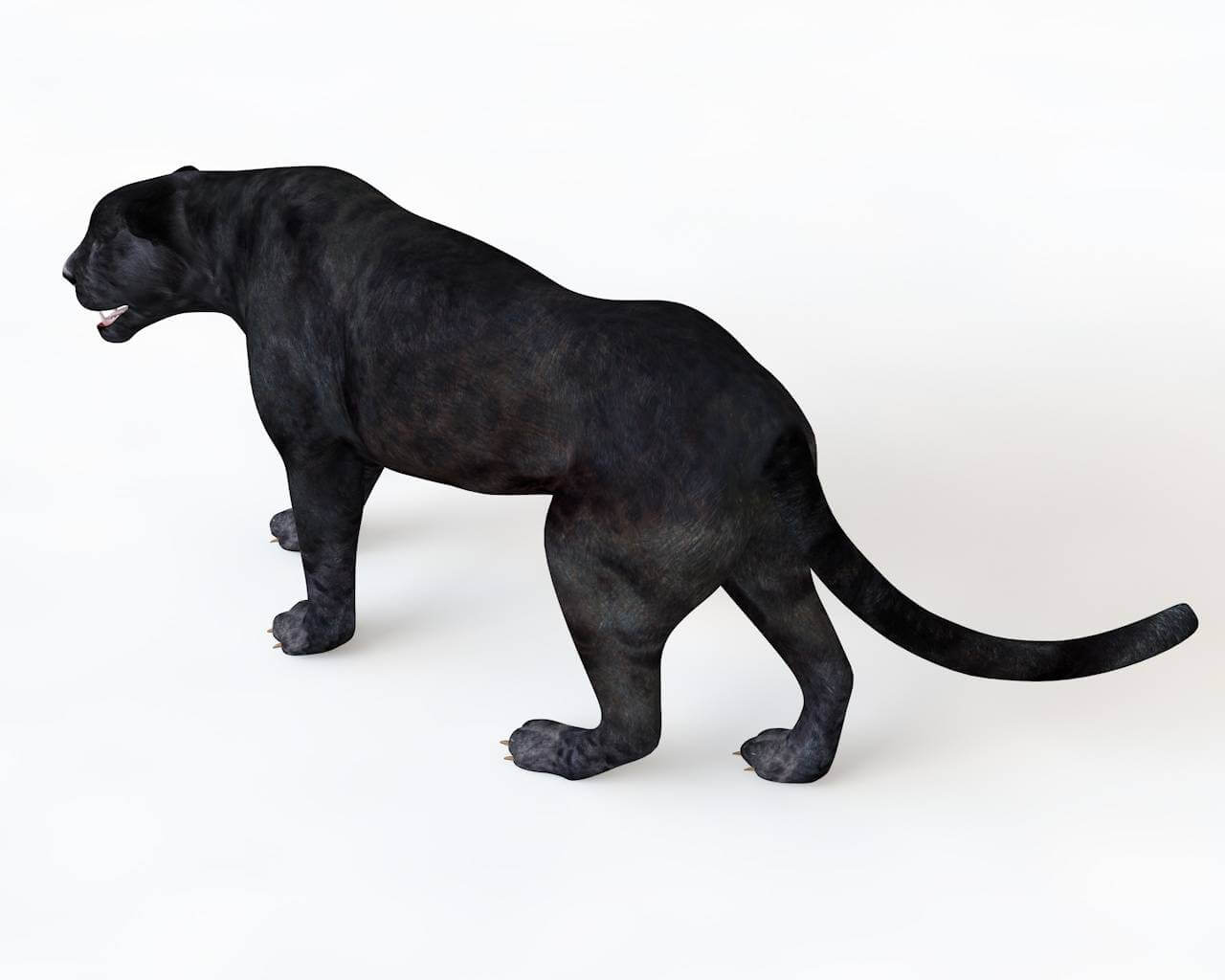 Panther - Free 3D Model by 3dstudio