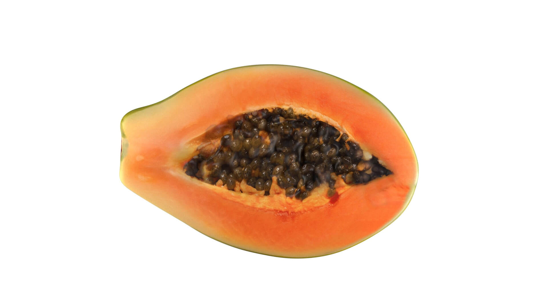Papaya Fruit Half and Full - 3D Model by 3dstudio