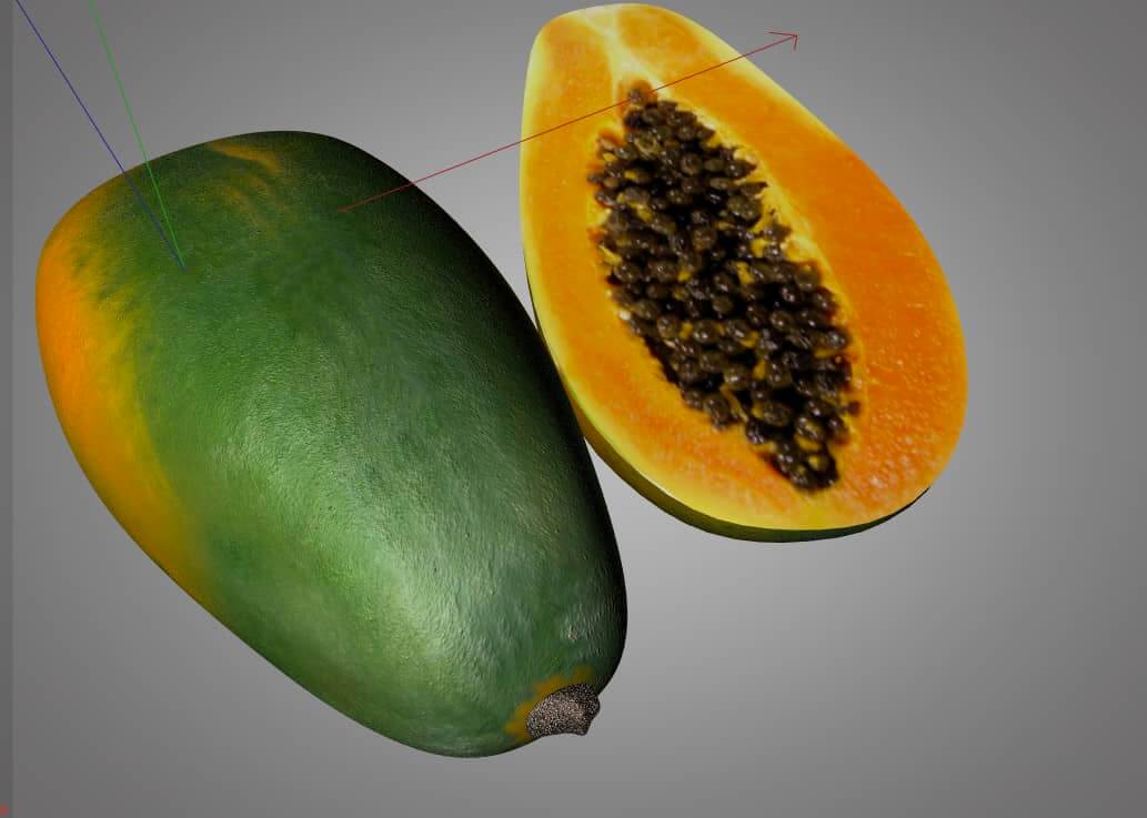 Papaya - 3D Model by 3dstudio